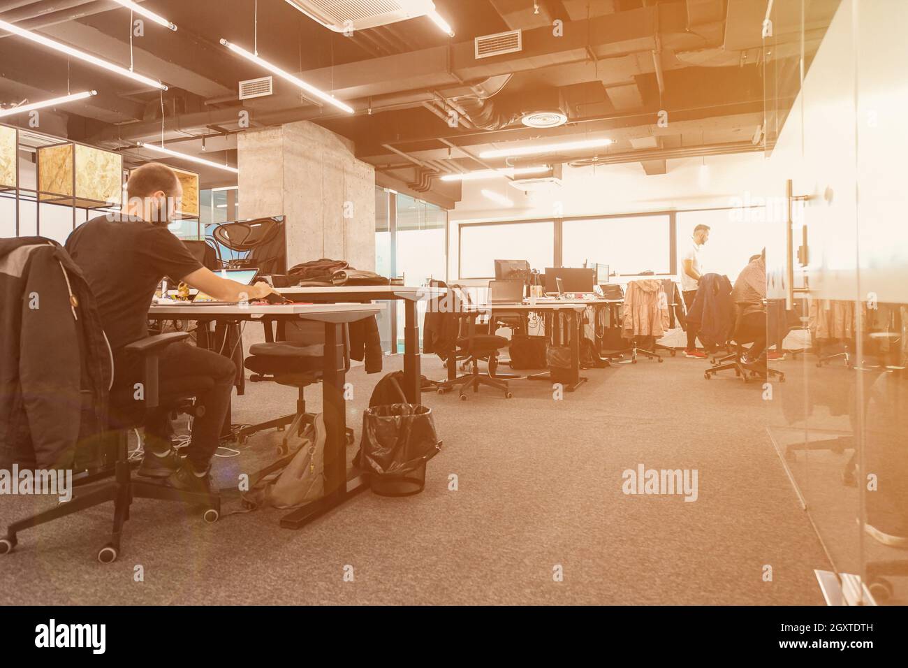 software developers working everyday job writing programming code at modern sunny bright open ...