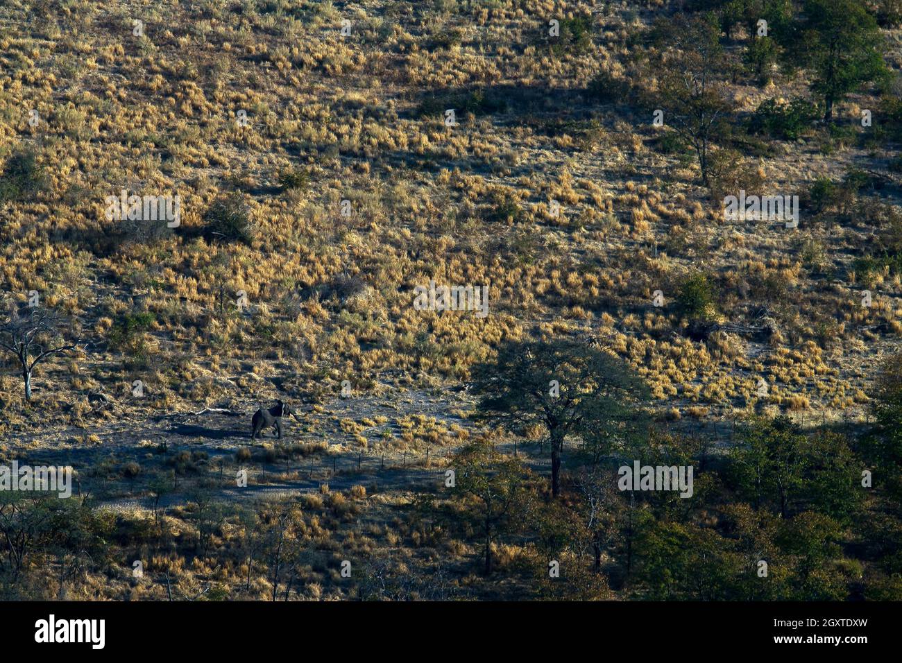 Aerial view of the great Okavango Delta, Moremi Game Reserve, Botswana ...