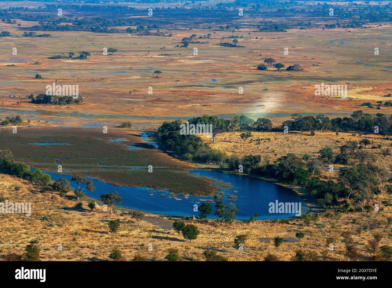 Aerial view of the great Okavango Delta, Moremi Game Reserve, Botswana ...