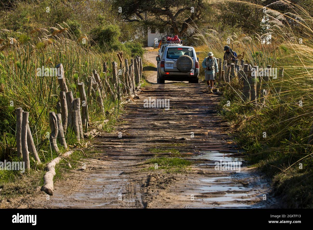 Third bridge botswana hi-res stock photography and images - Alamy