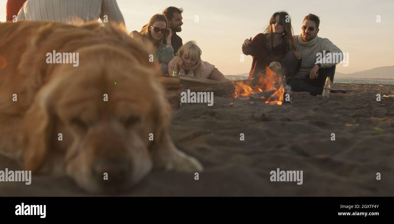 Group of friends with dog relaxing around bonfire on the beach at ...