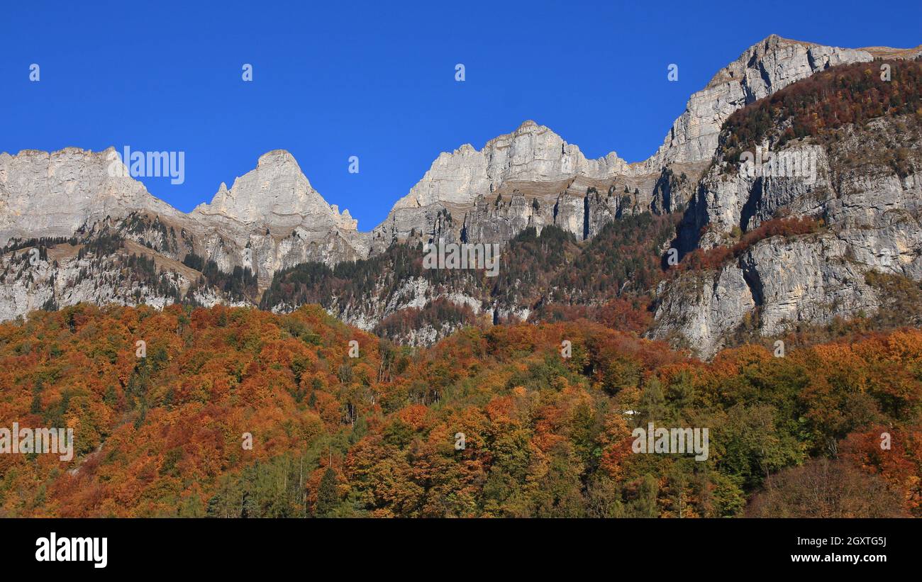Multi colored autumn forest. Beautiful landscape in Switzerland ...