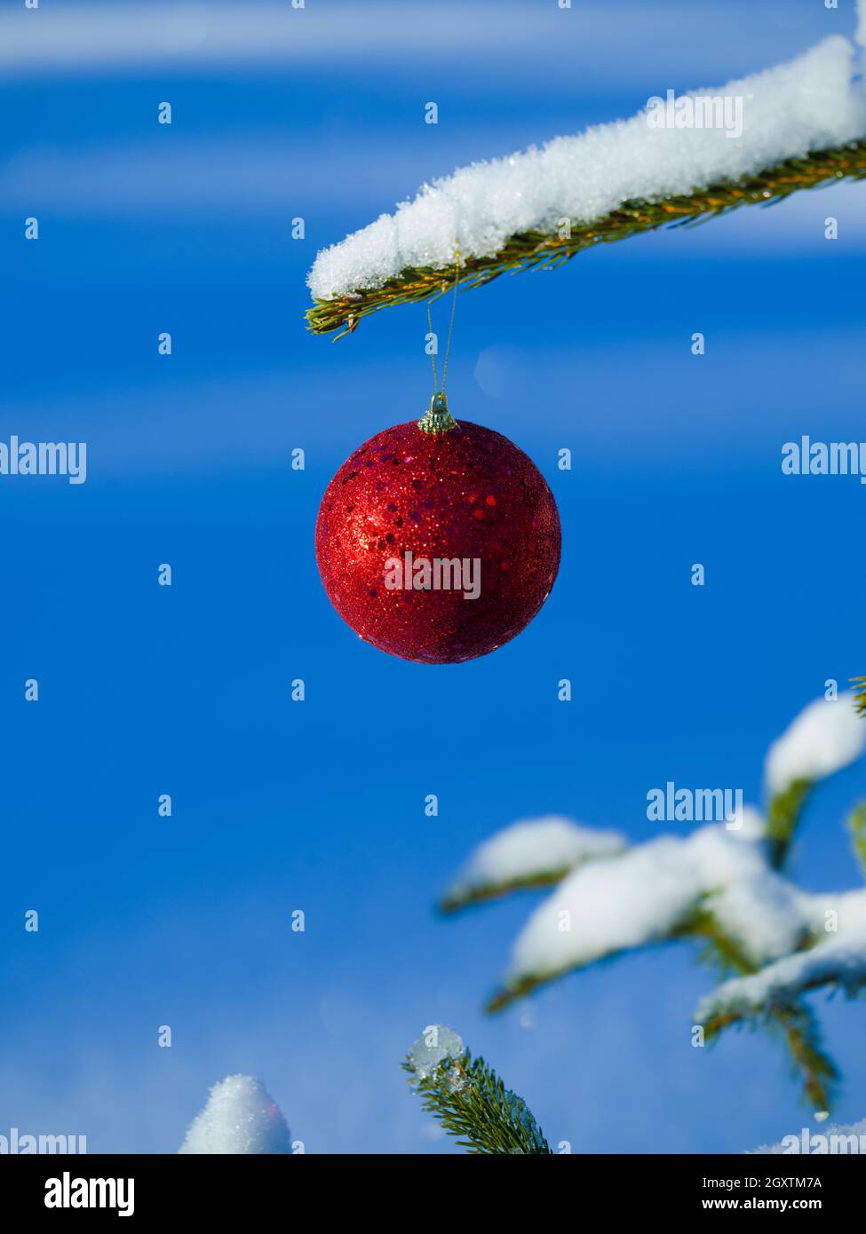 christmas tree red ball decoration with real snow Stock Photo - Alamy