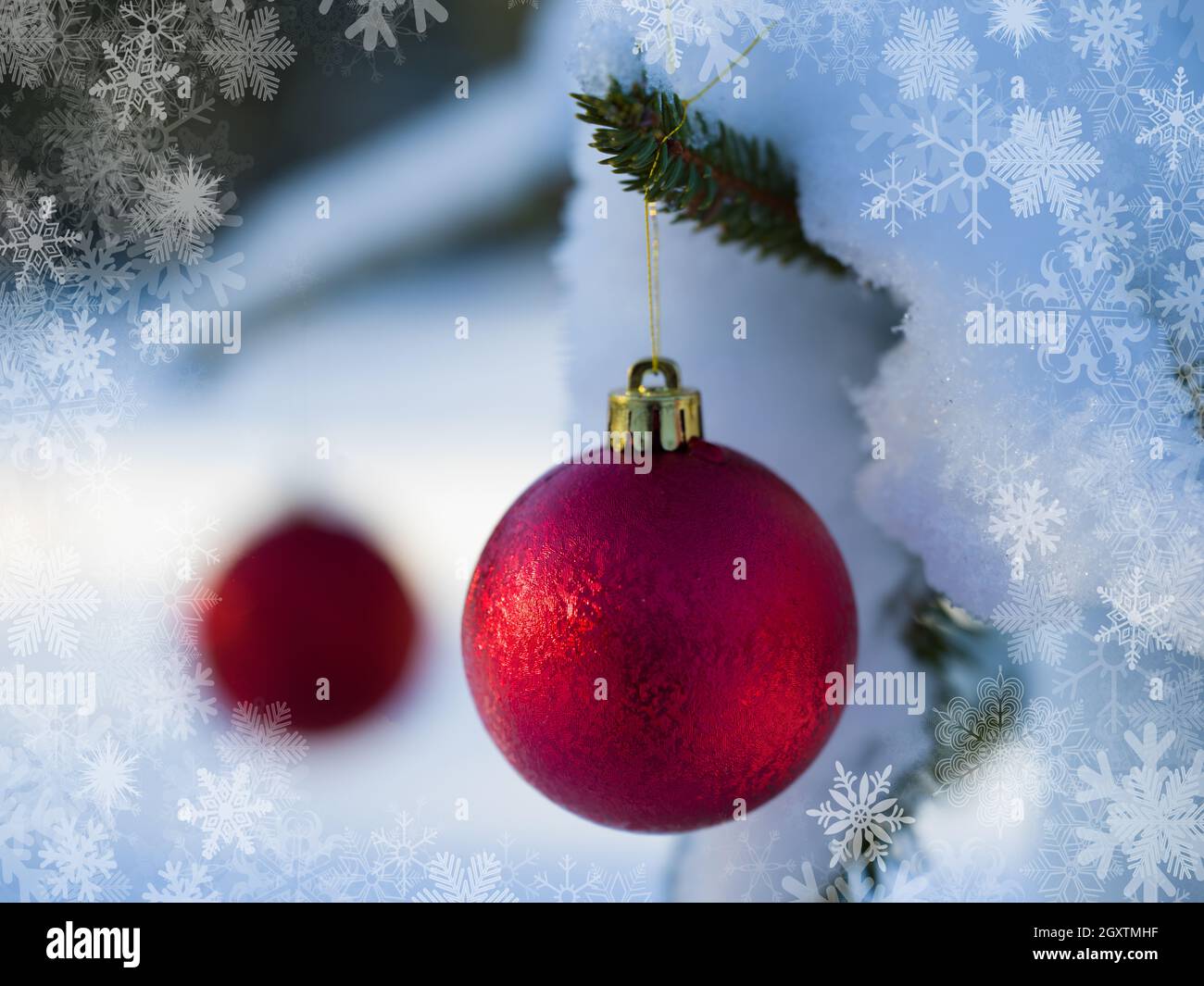 christmas tree red ball decoration with real snow Stock Photo - Alamy