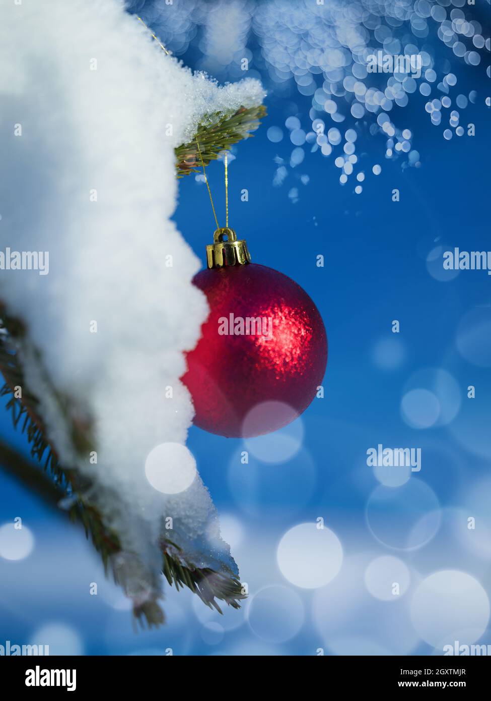 christmas tree red ball decoration with real snow Stock Photo - Alamy