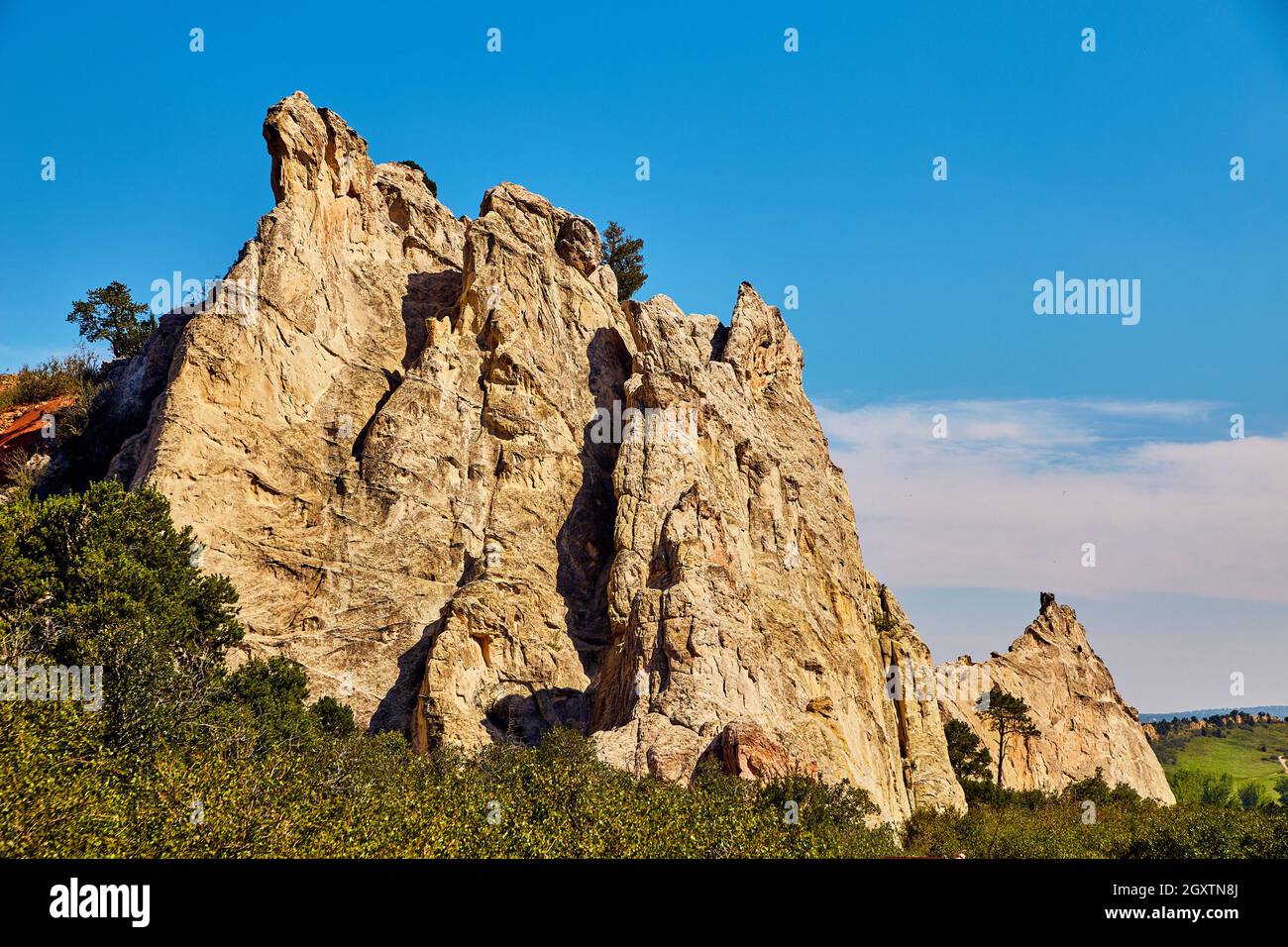 Rock outcropping in field of trees Stock Photo - Alamy