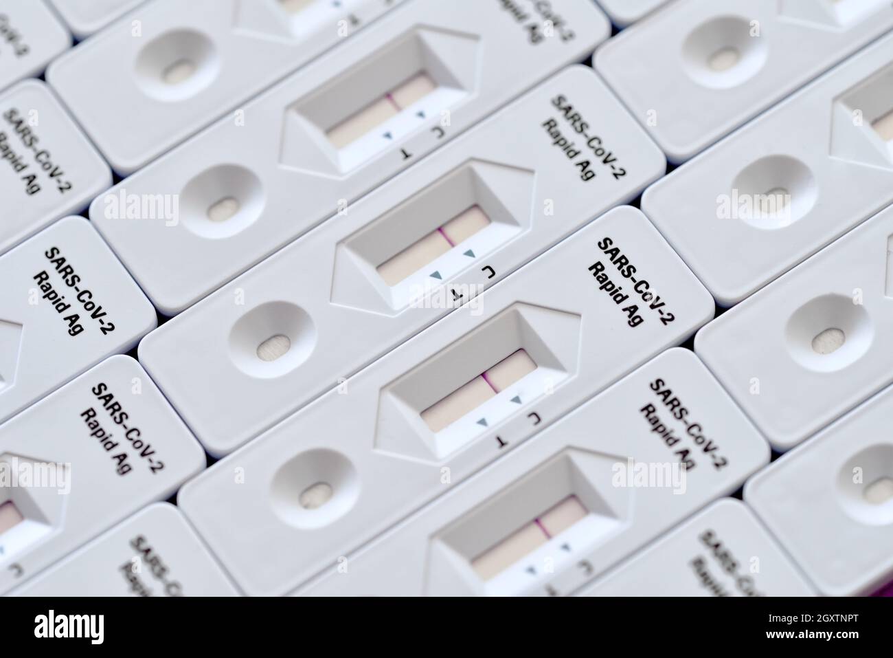 Corona Rapid antigen test kit mosaic surface white macro close-up ...