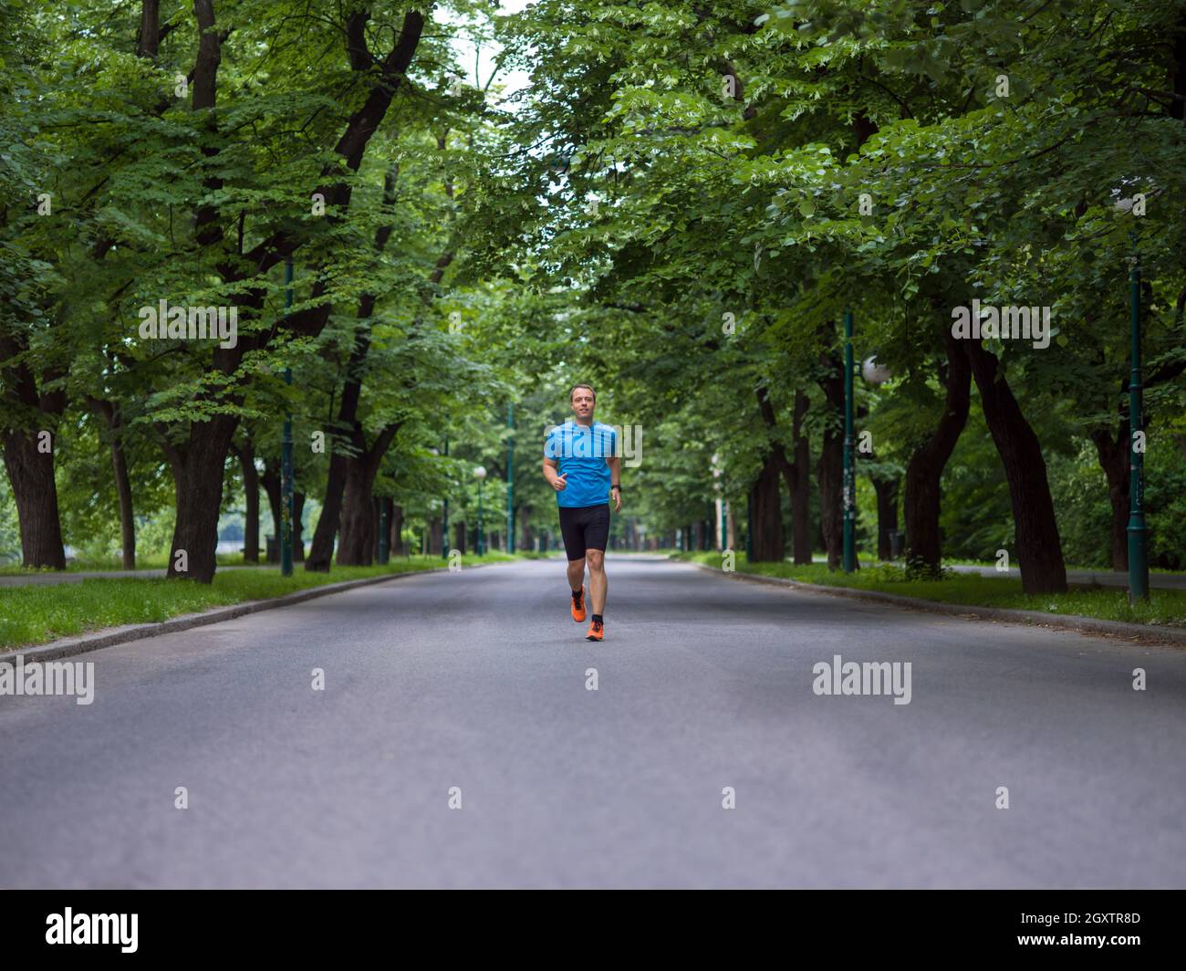 fit muscular male runner training for marathon running on beautiful ...