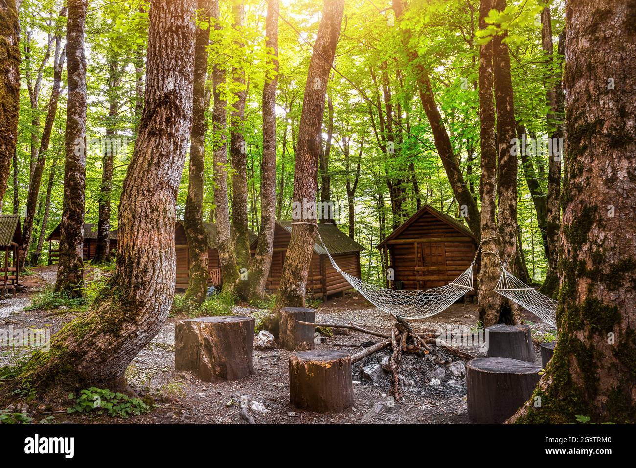 Morning in camping on Biogradsko lake, Montenegro Stock Photo - Alamy