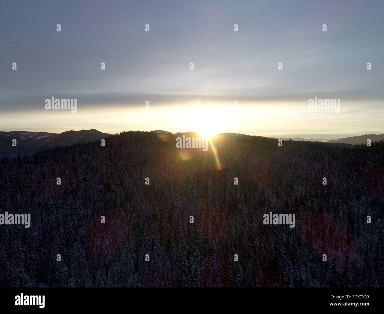 Winter forest trees sunny weather top view. Aerial flight above snow ...
