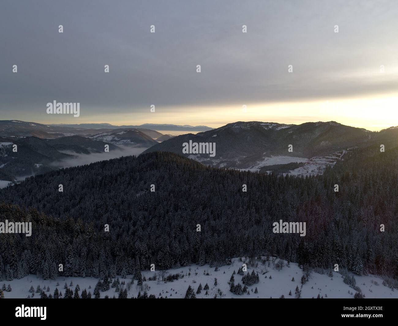Winter forest trees sunny weather top view. Aerial flight above snow ...