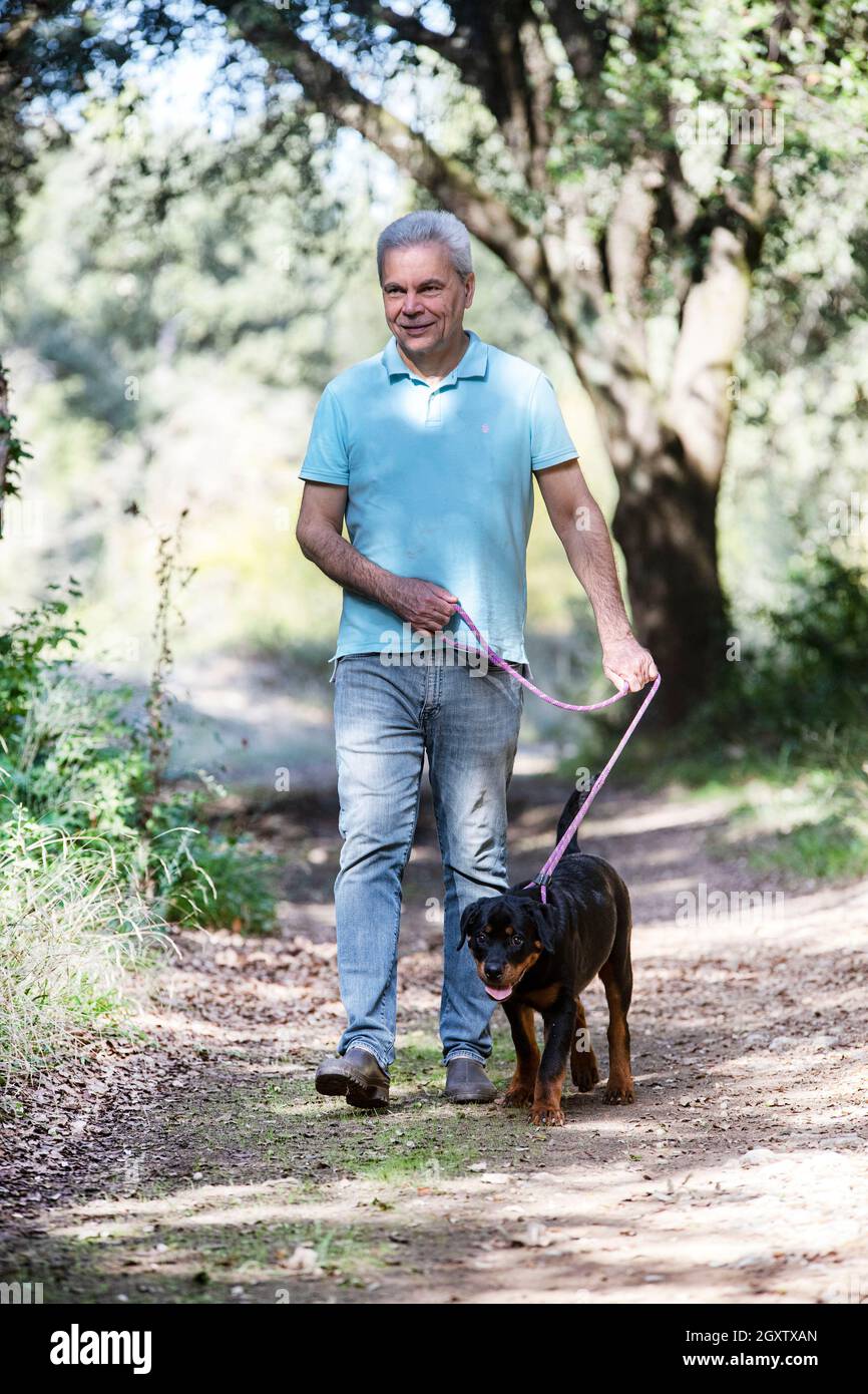 puppy rottweiler and owner in the nature in autumn Stock Photo - Alamy
