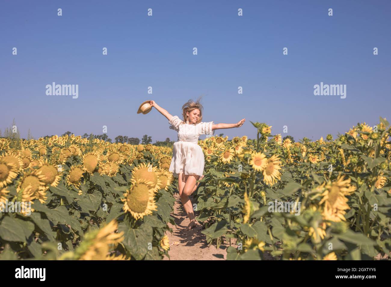 Beauty Sunlit Woman On Yellow Sunflower Field Freedom And Happiness