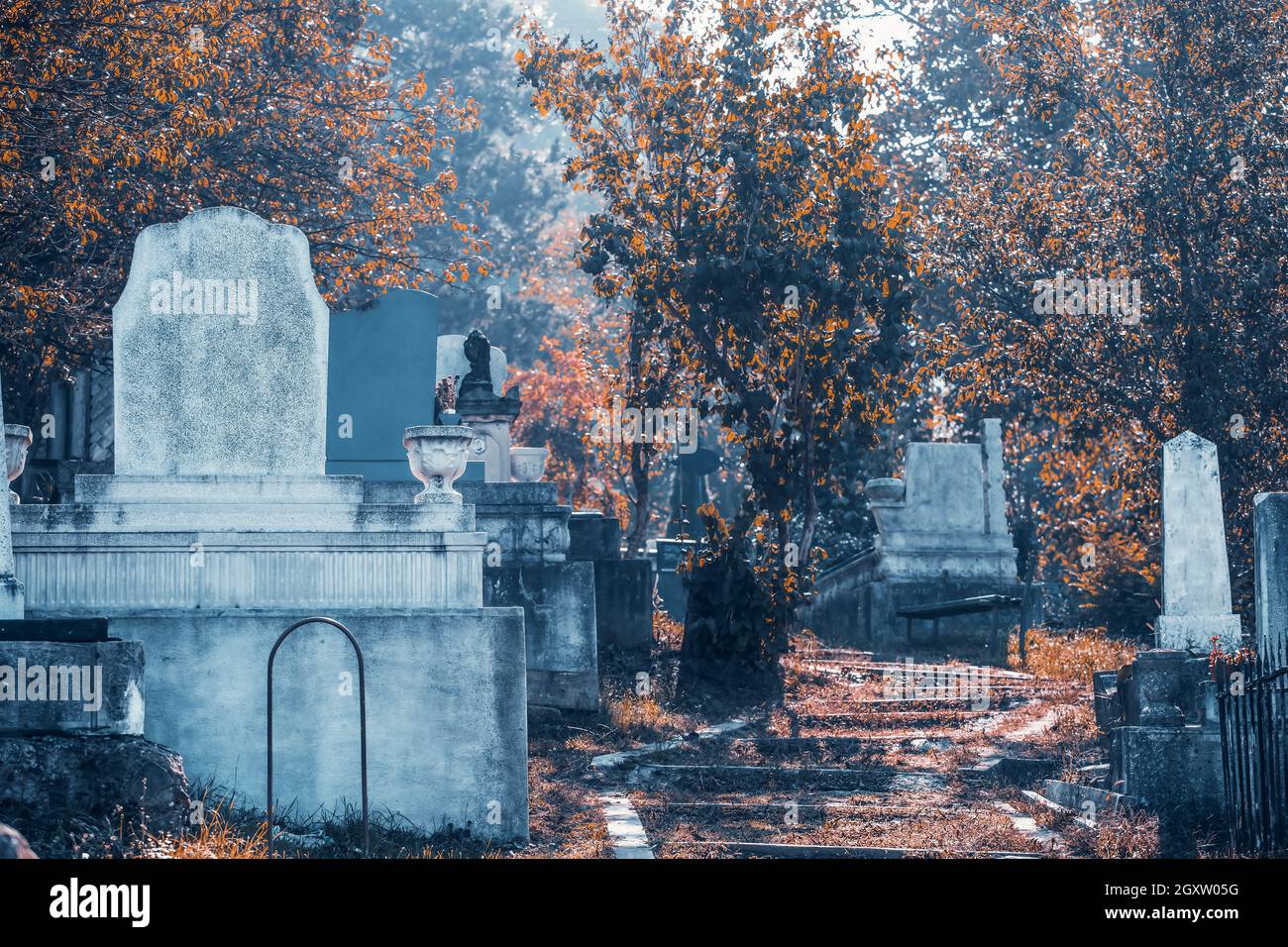 Tombstones in cemetery. Halloween concept Stock Photo - Alamy