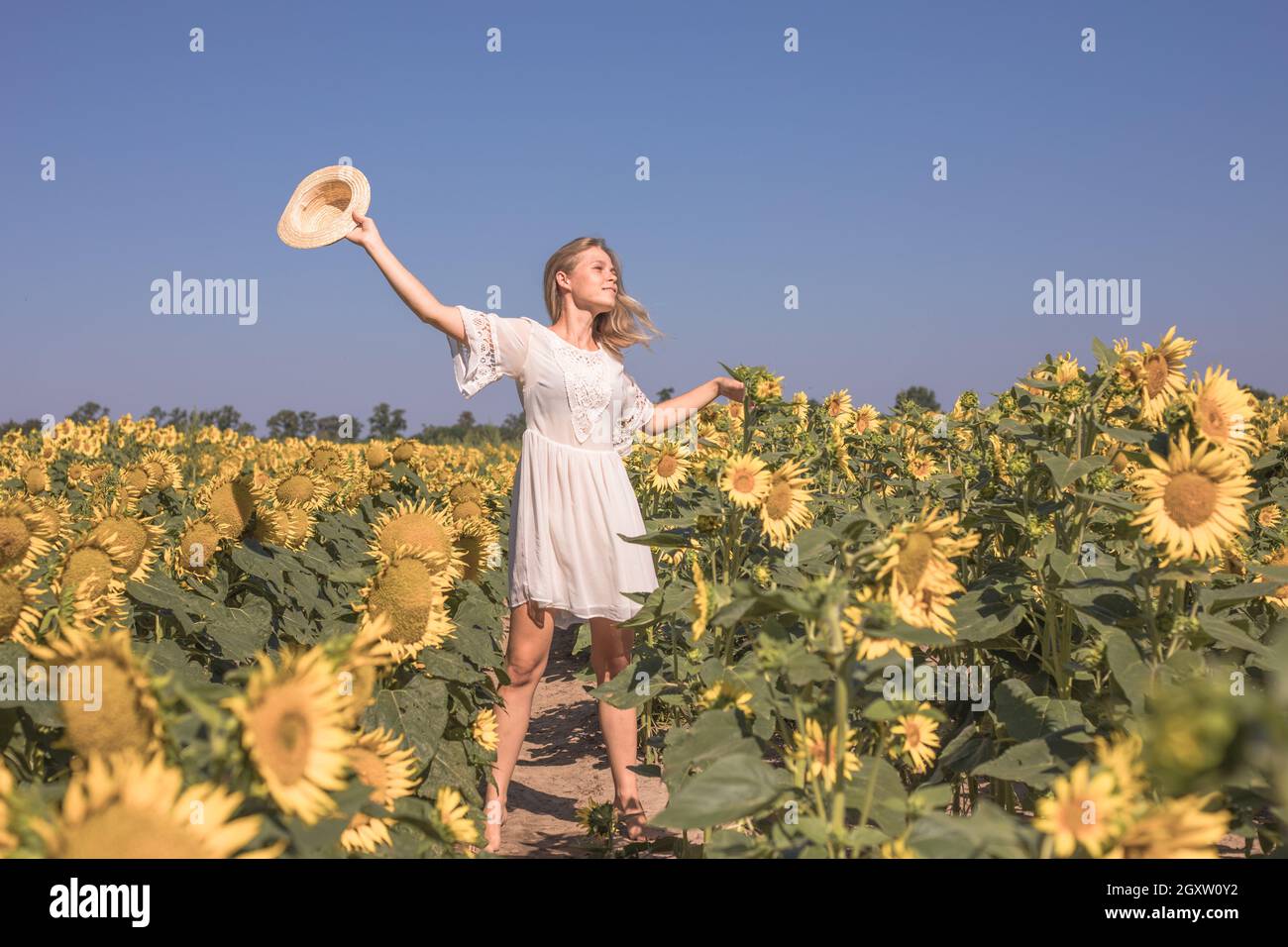 Beauty Sunlit Woman On Yellow Sunflower Field Freedom And Happiness