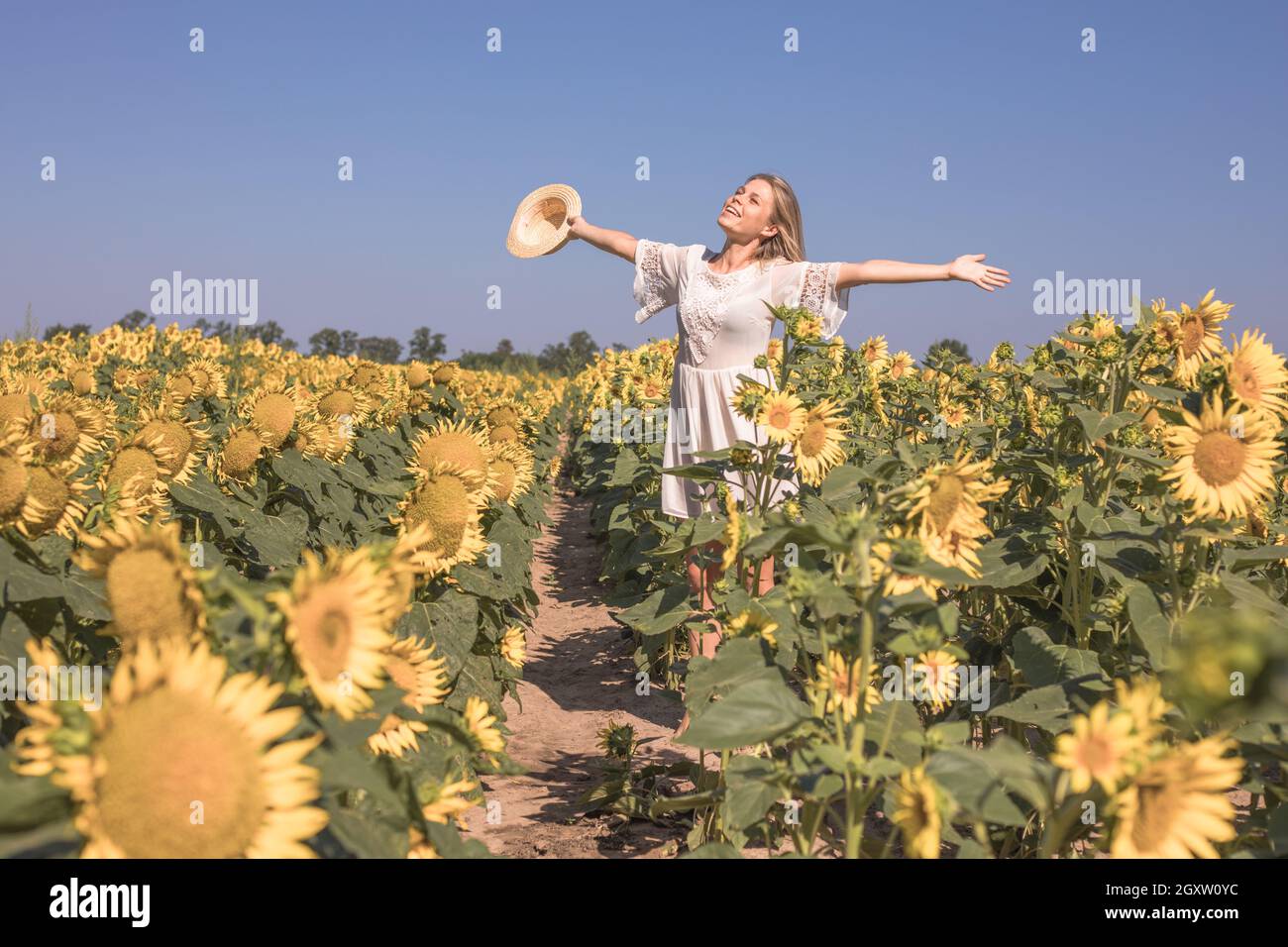 Beauty Sunlit Woman On Yellow Sunflower Field Freedom And Happiness