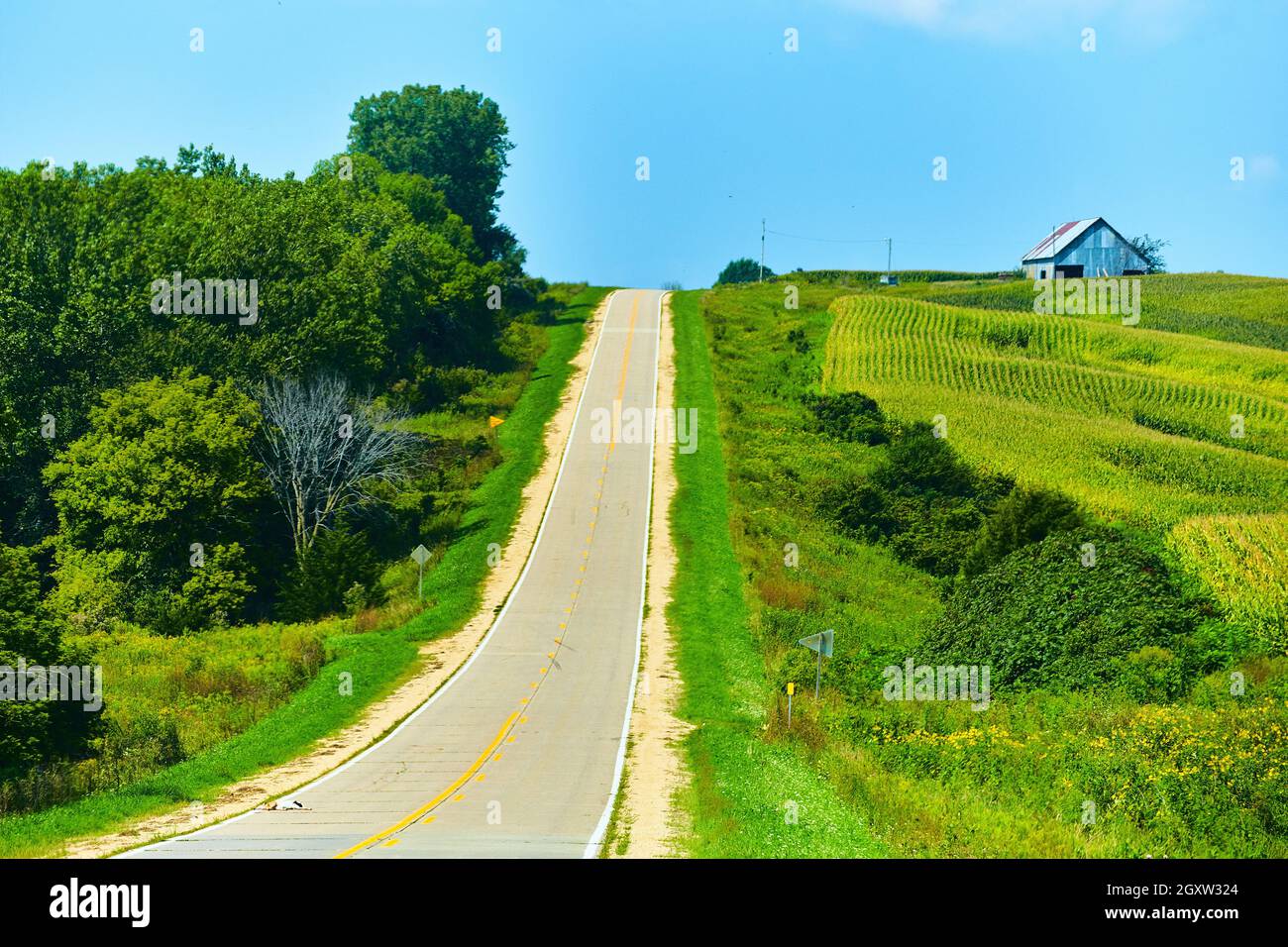 Empty old road through hills with barn and corn fields Stock Photo - Alamy