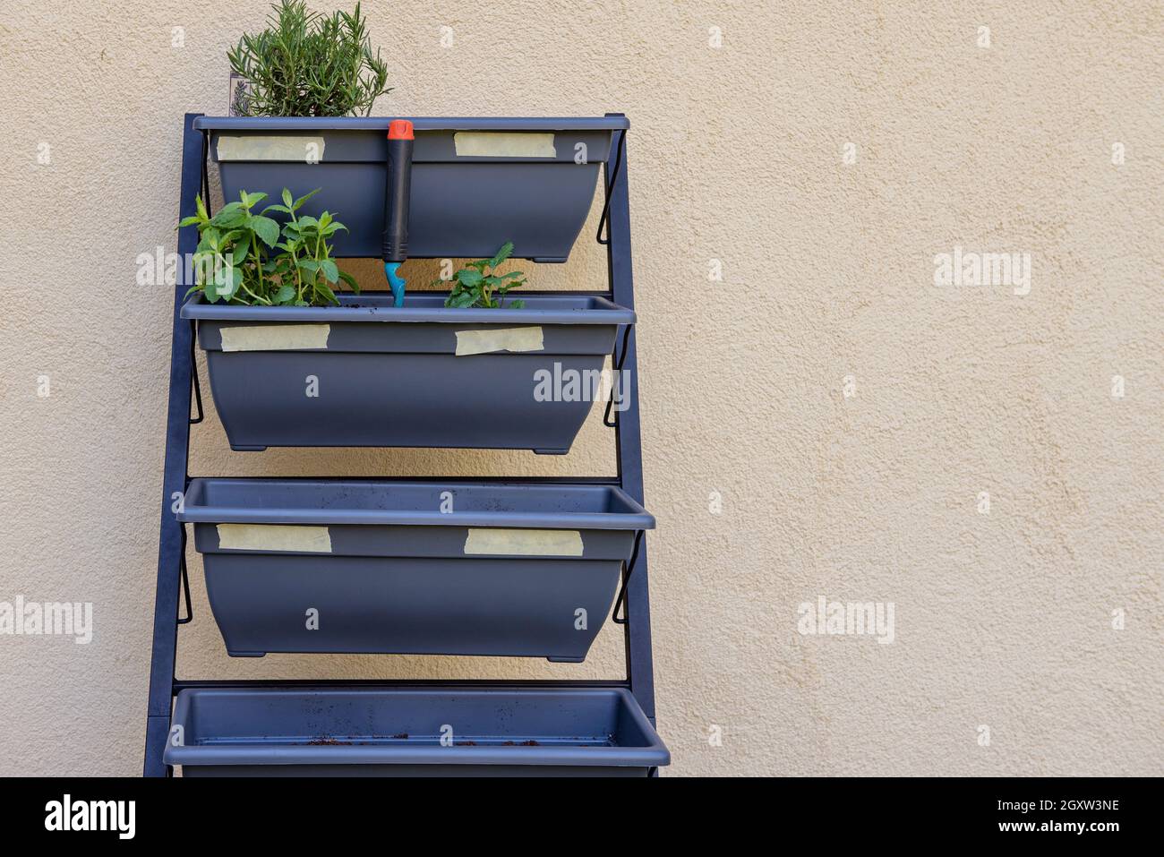Horizontal shot of small vertical garden with herbs in pots, hobby ...