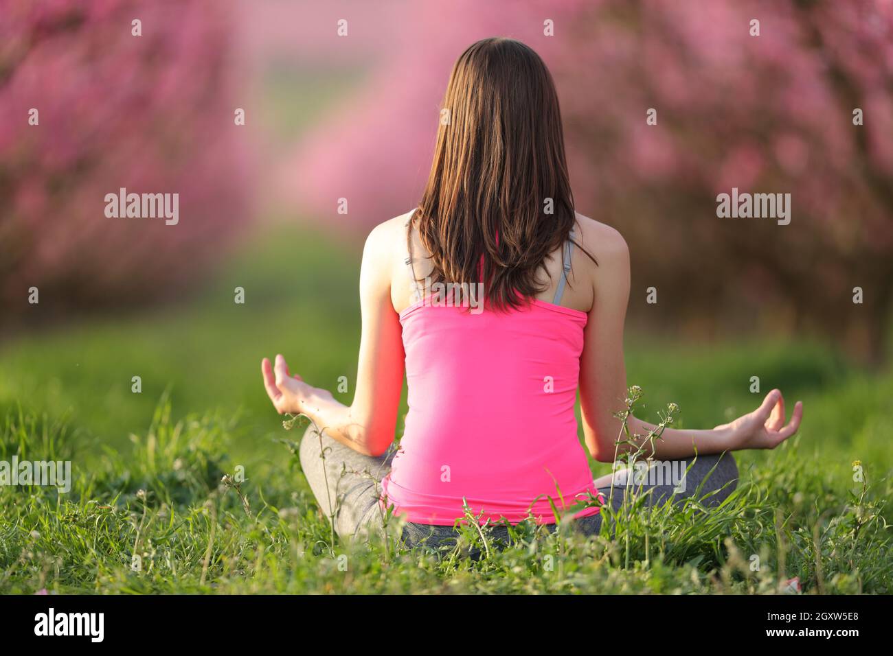 Back view portrait of a yogi practicing yoga lotus pose on the grass in ...