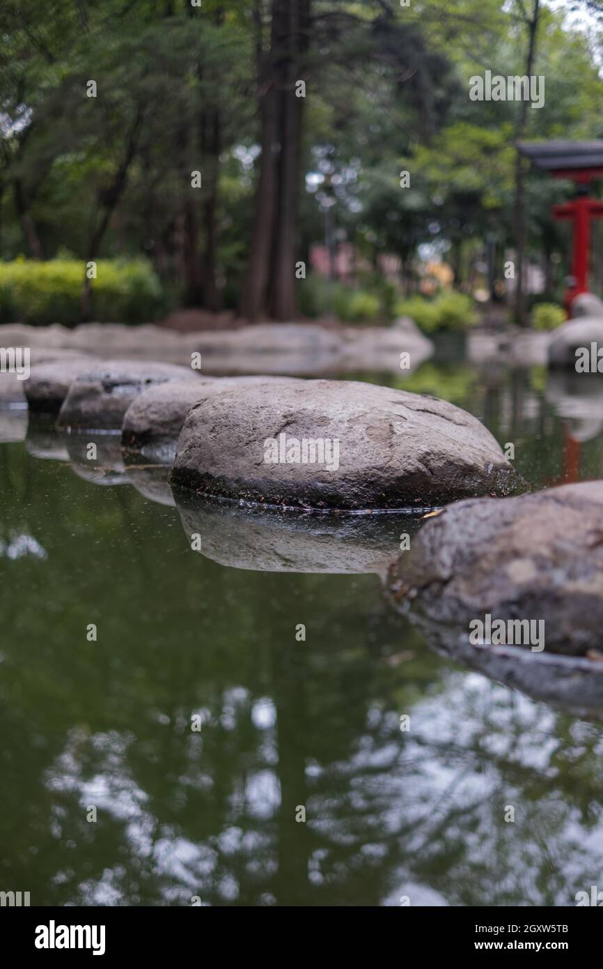 Stones path on pond with blurry trees and Japanese gate as background ...