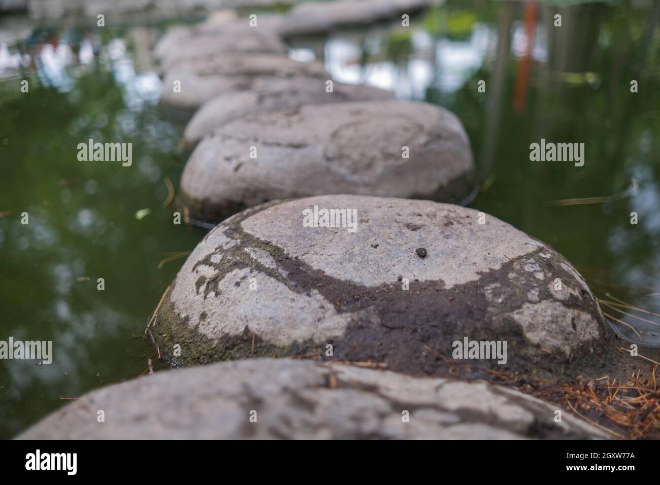 Stepping stones path on pond with greenish water Stock Photo - Alamy