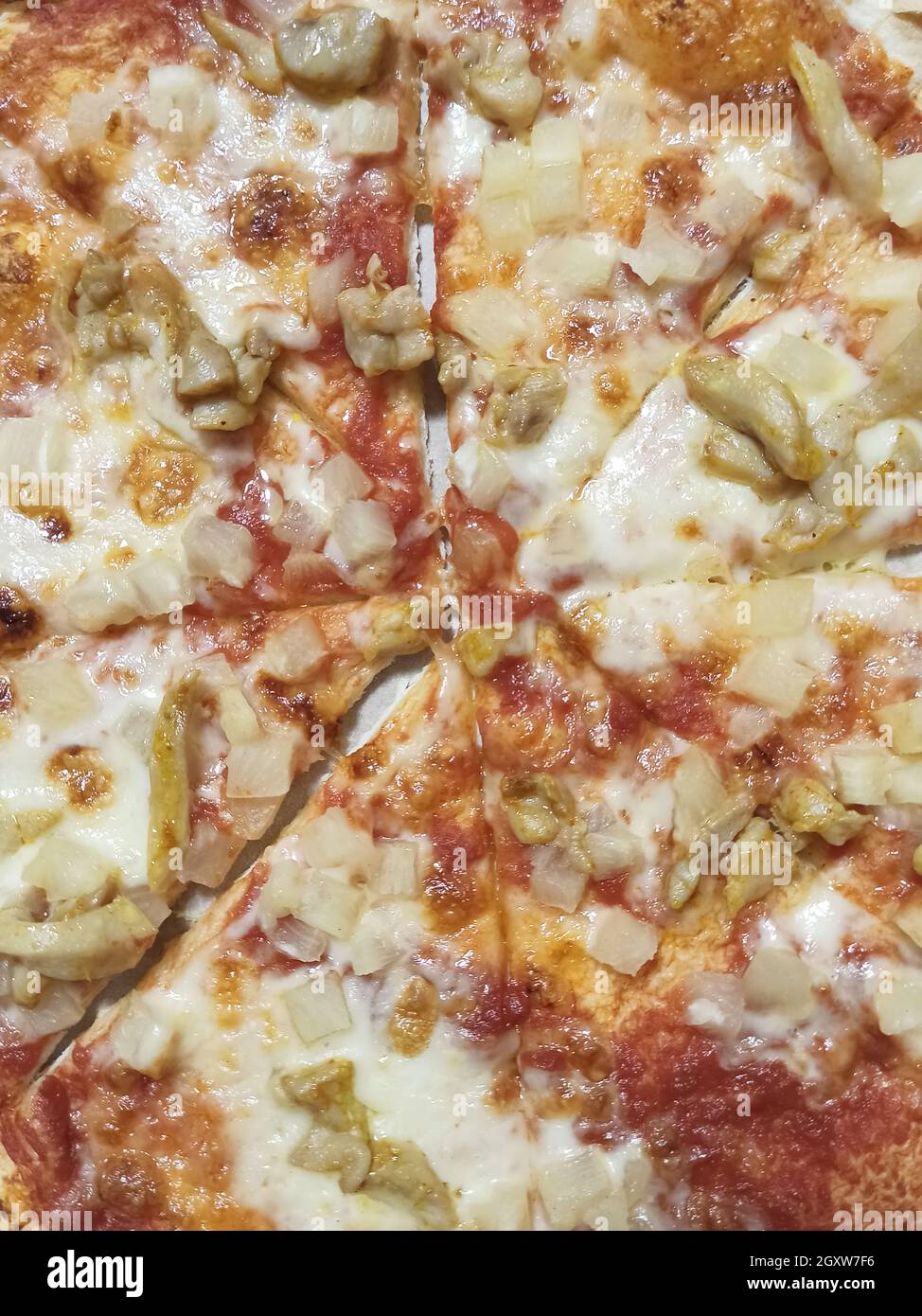 Slices of fresh appetizing pizza with delicious ingredients close up ...