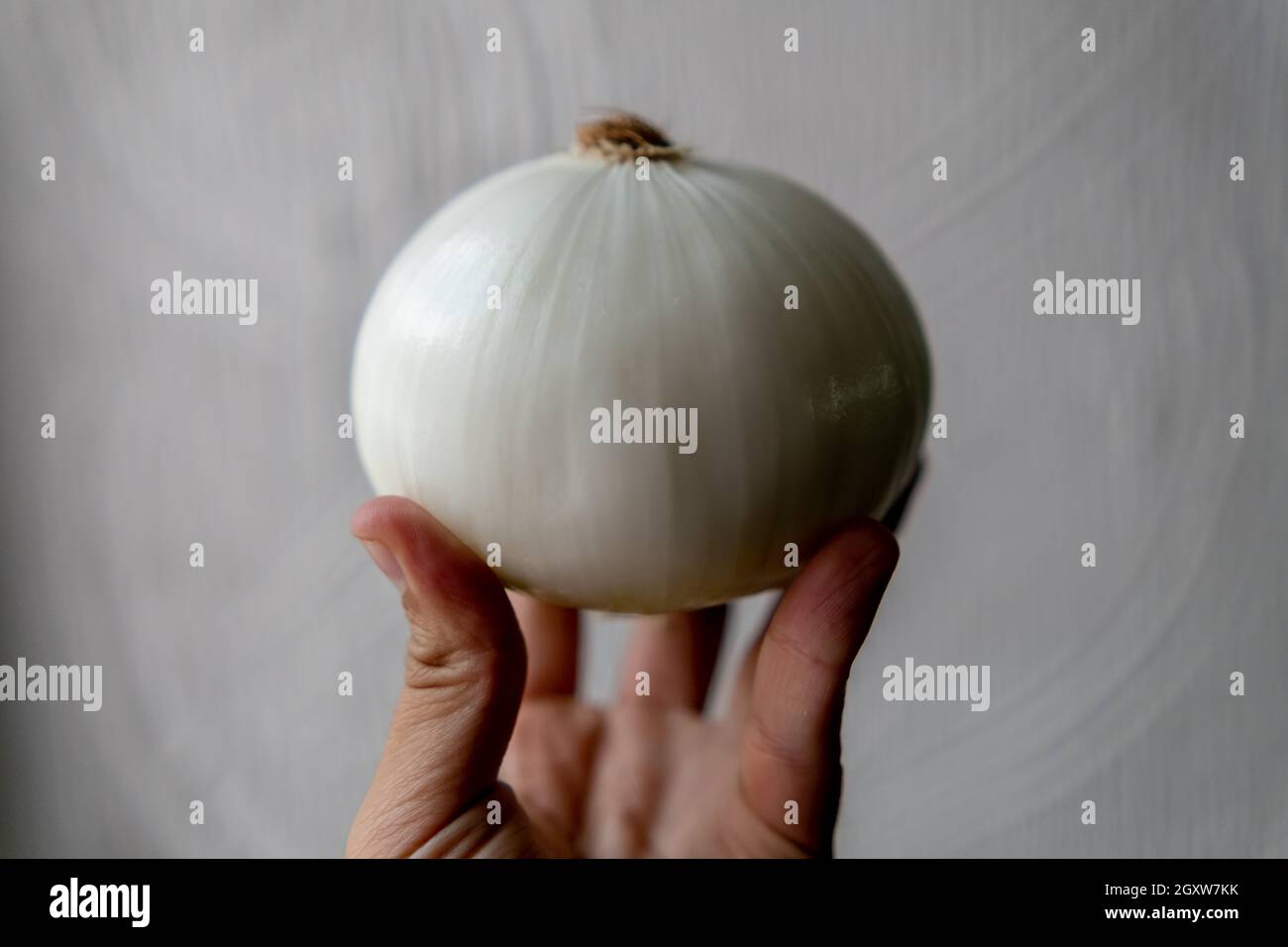 Hand holding onion with white textured wall as background Stock Photo ...