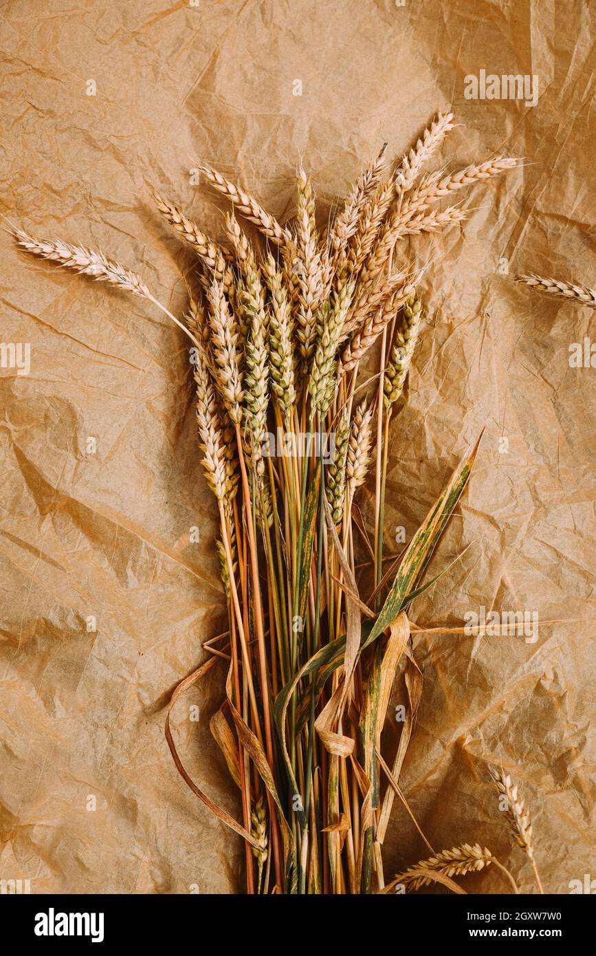 Bunch of ripe golden wheat on craft paper background. The concept of ...