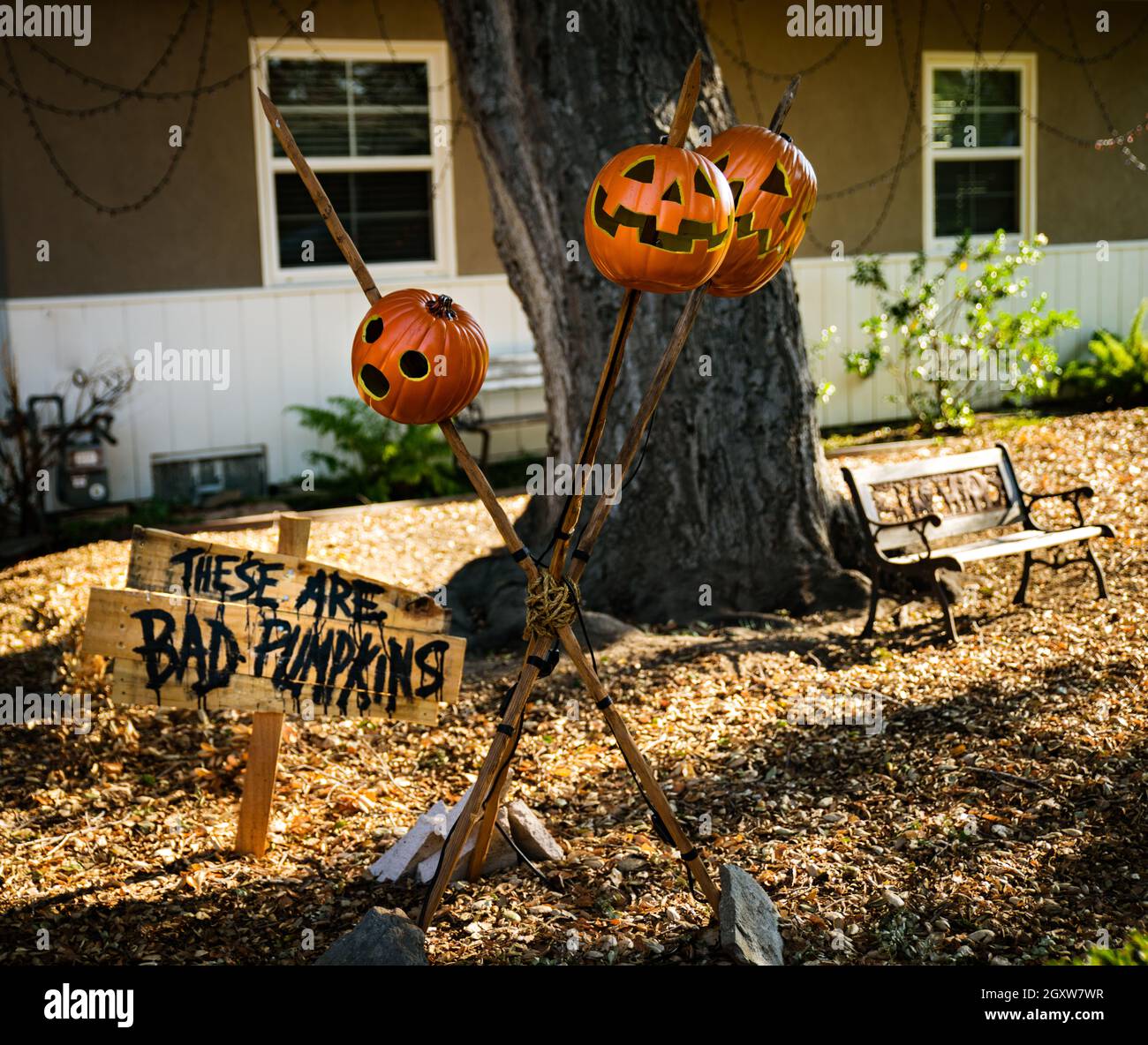 Impaled Pumpkins Halloween decoration Stock Photo - Alamy