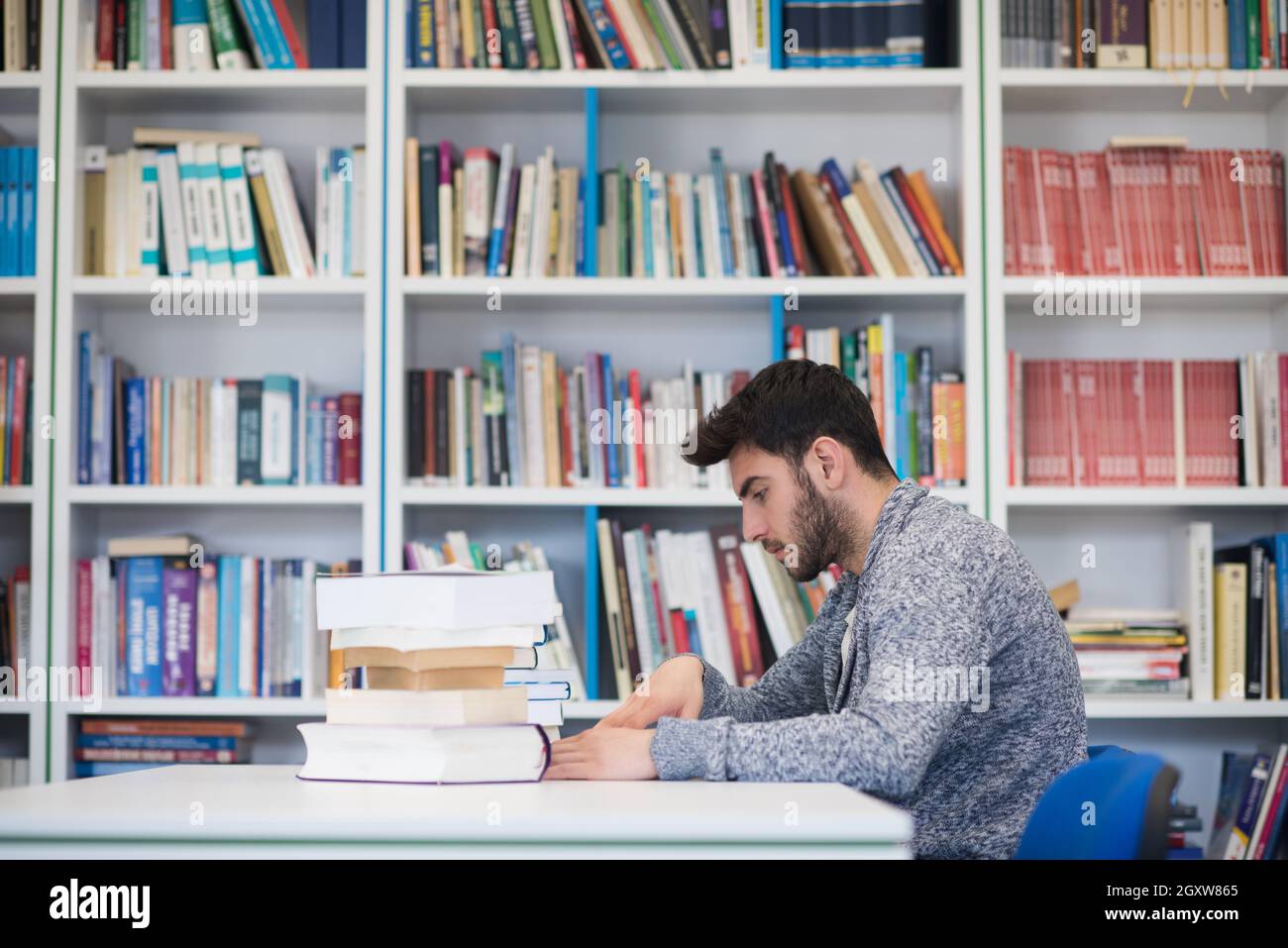 Portrait of happy student while reading book in school library. Study ...