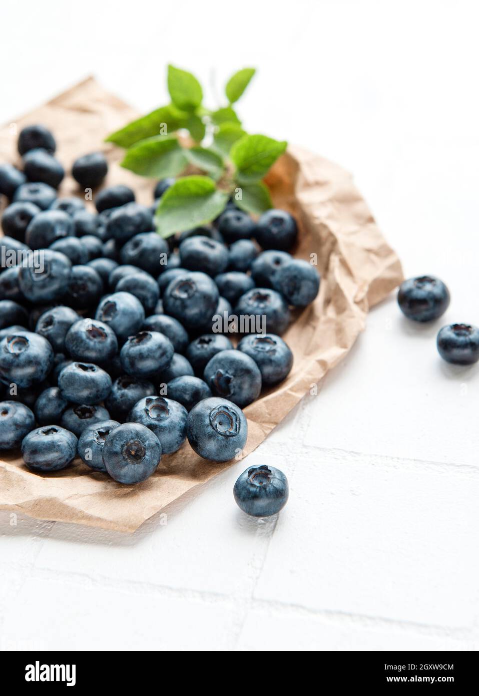 Freshly picked blueberries on a white tile background. Concept for ...