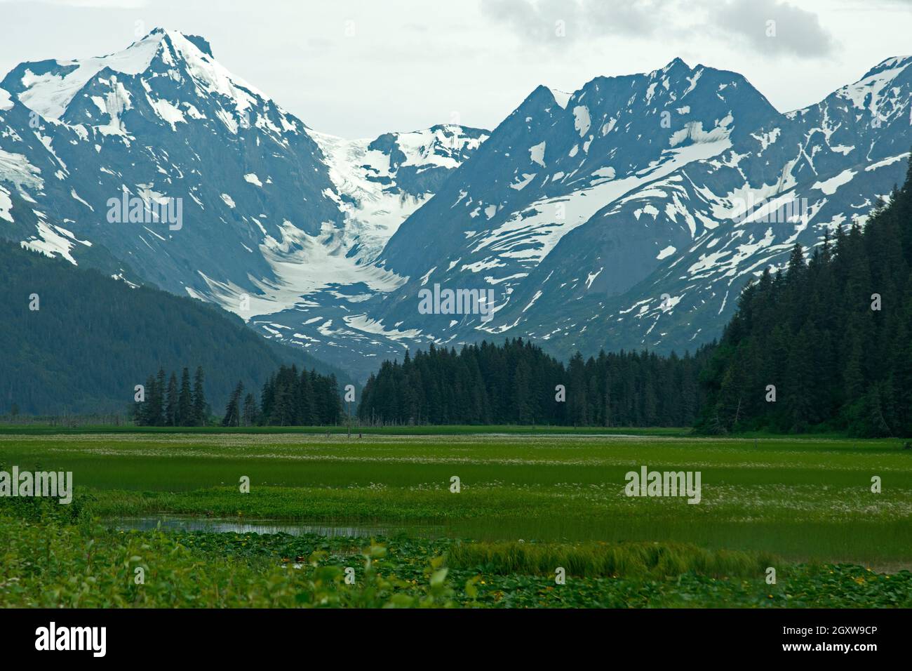 Beautiful view freshwater marsh hi-res stock photography and images - Alamy