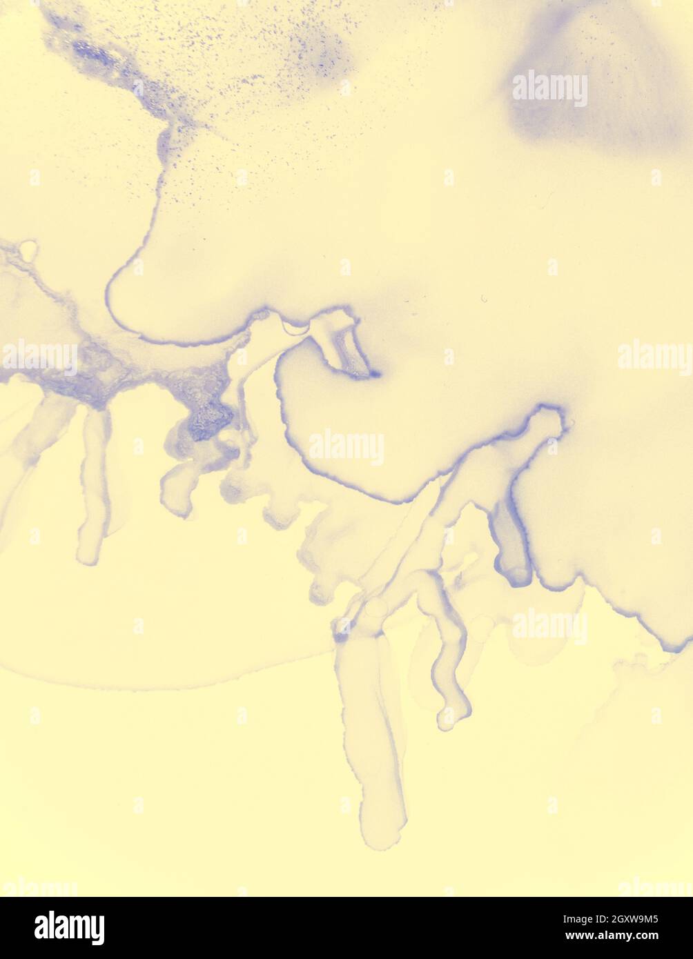 Wedding Card Design. Yellow Pastel Fluid Splash Stock Photo - Alamy