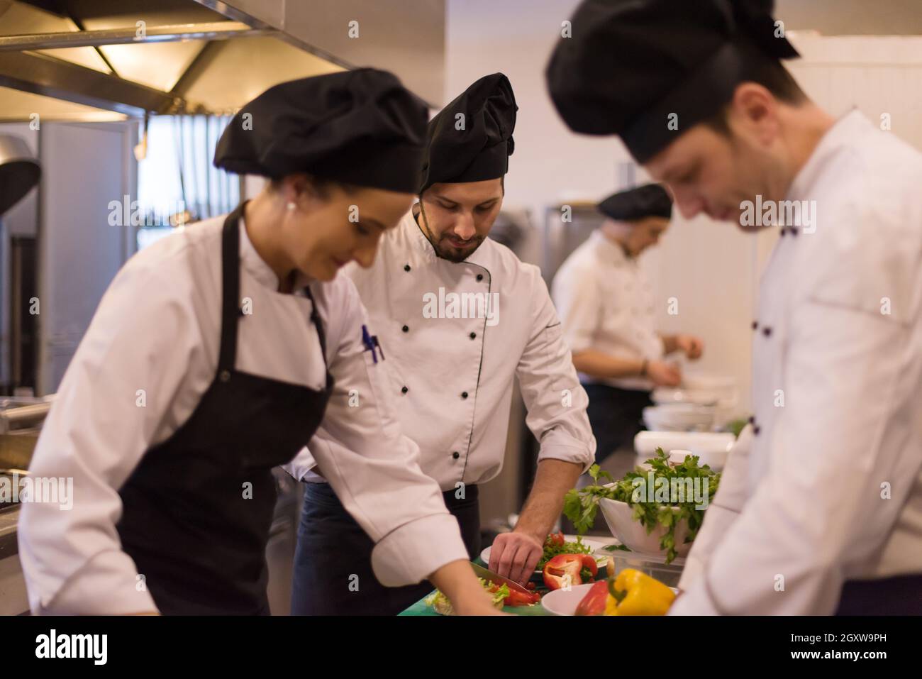 Professional team cooks and chefs preparing meal at busy hotel or ...