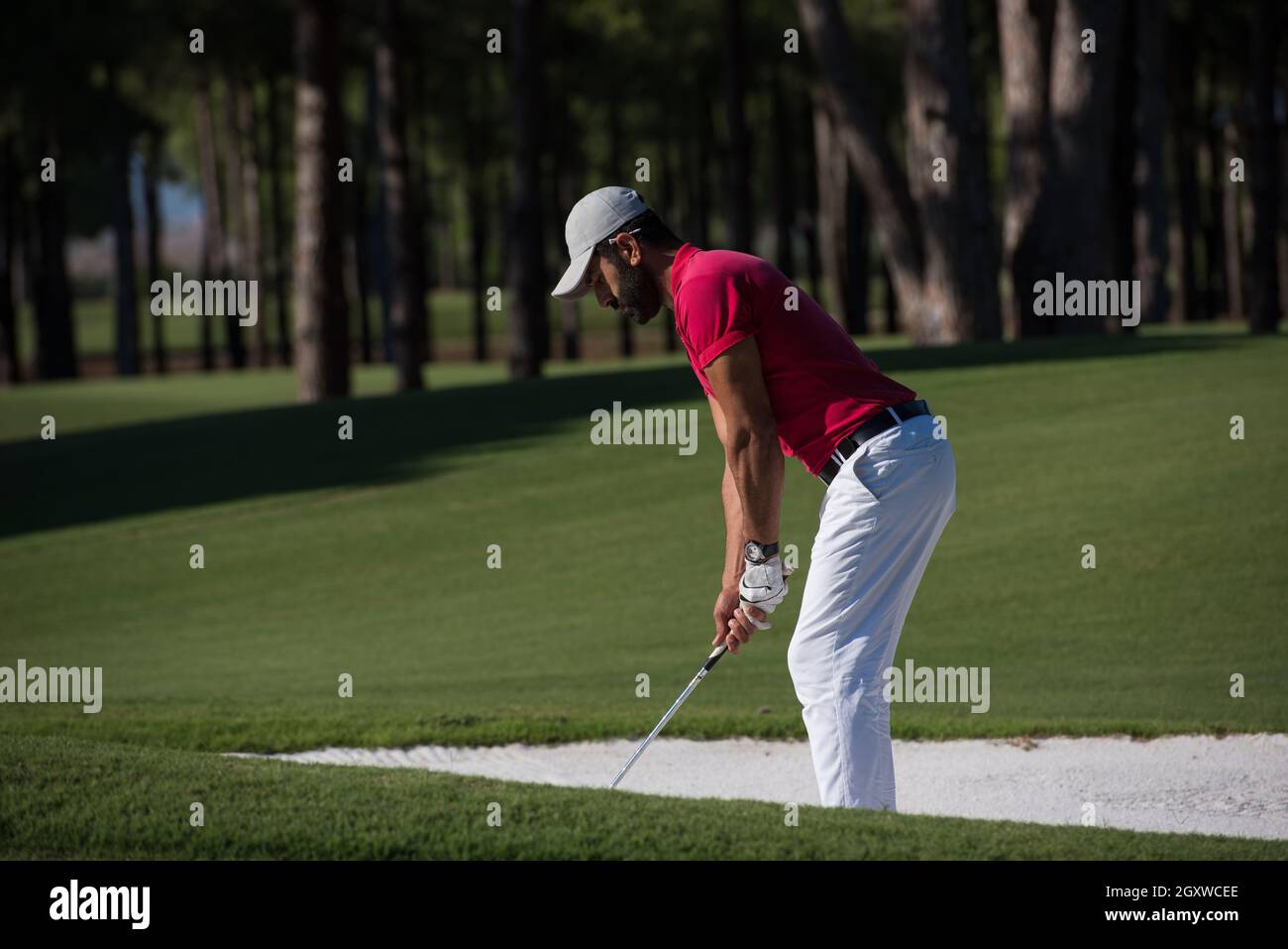 golf player shot ball from sand bunker at course Stock Photo - Alamy