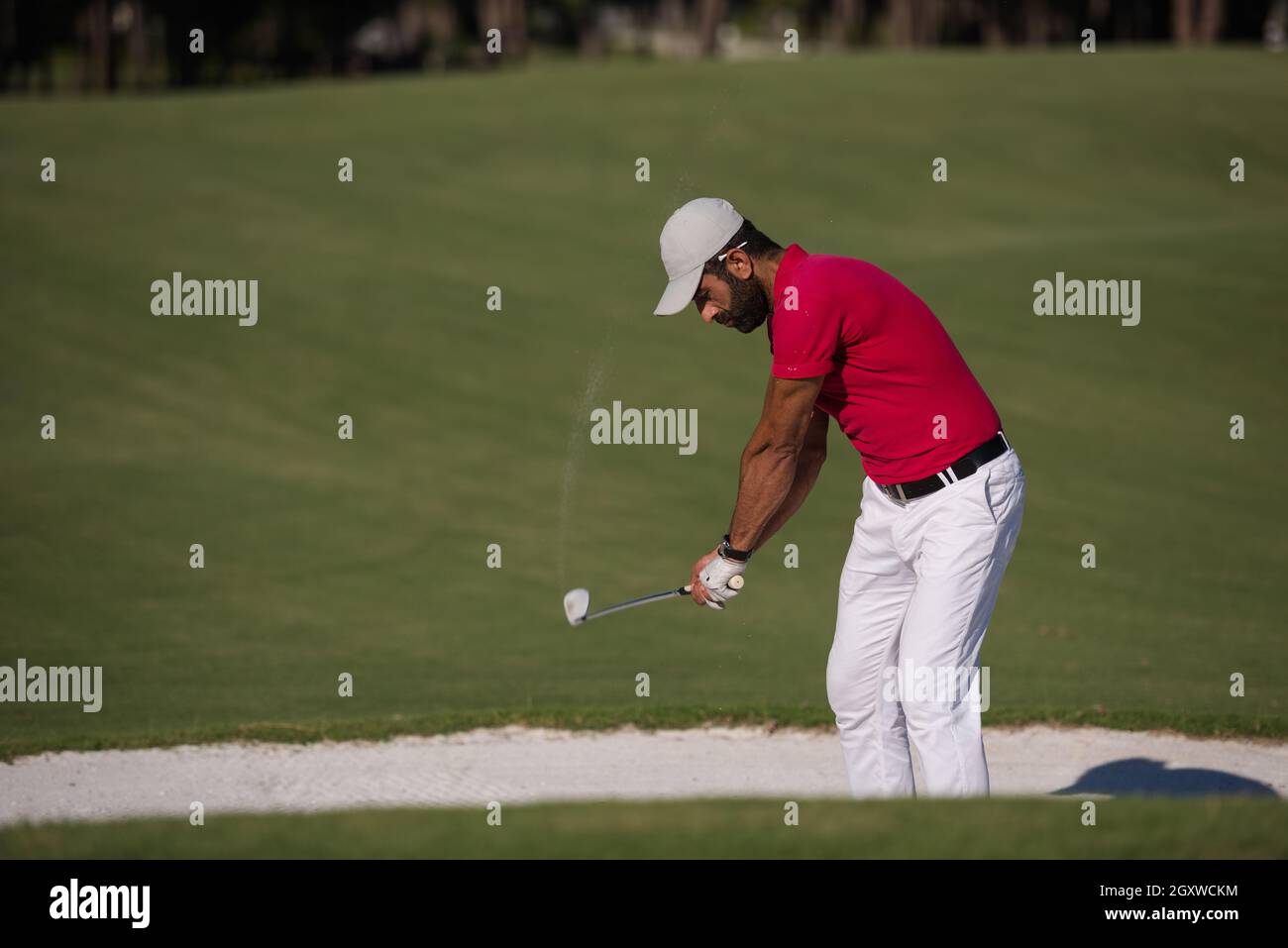 golf player shot ball from sand bunker at course Stock Photo - Alamy
