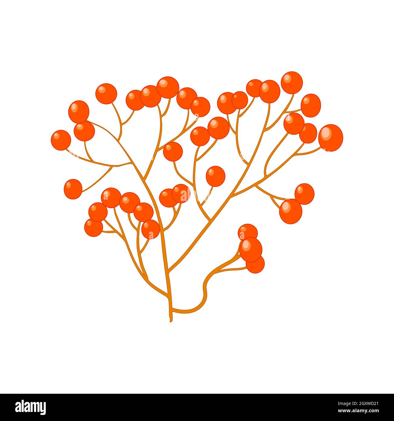 Orange berries frost Stock Vector Images - Alamy