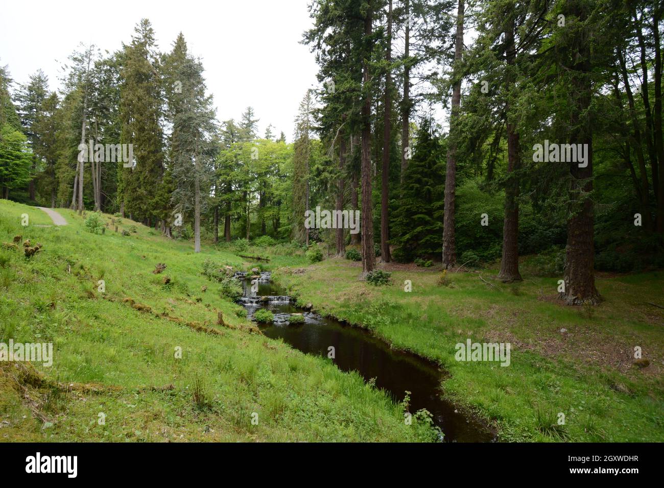 Cragside Northumberland National Trust Stock Photo - Alamy