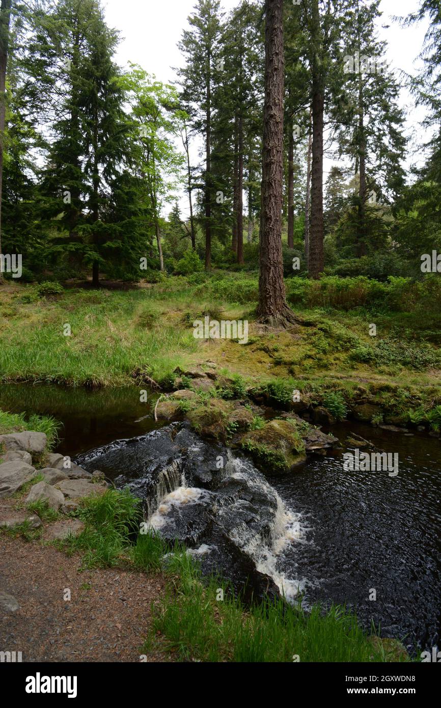 Cragside Northumberland National Trust Stock Photo - Alamy