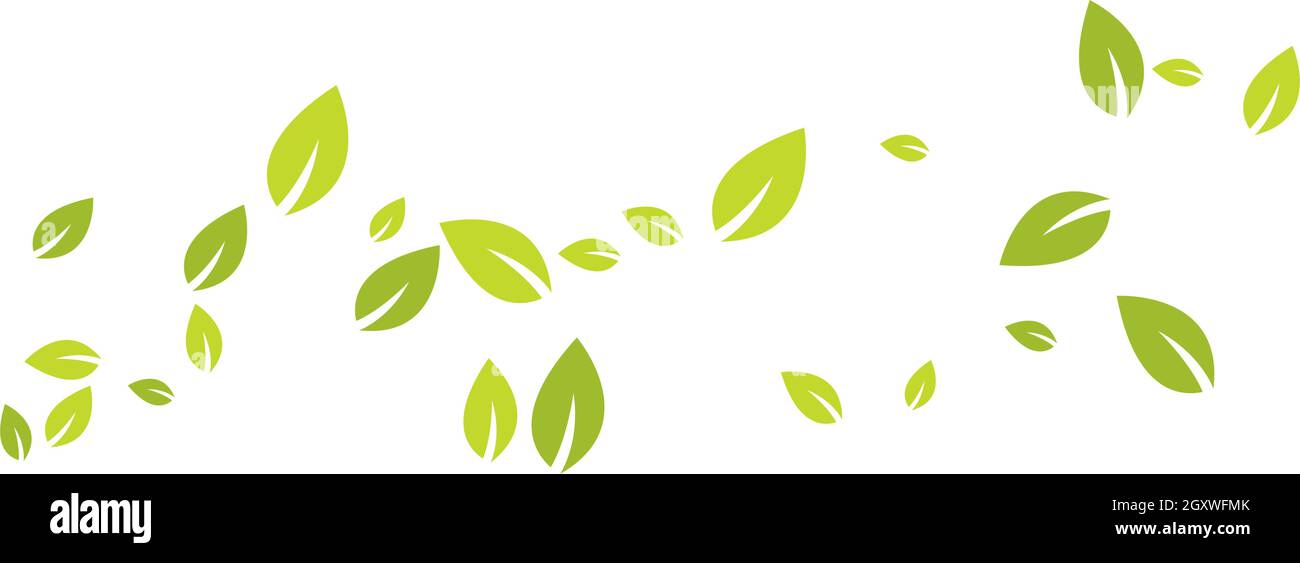 Leaf background vector template Stock Vector Image & Art - Alamy