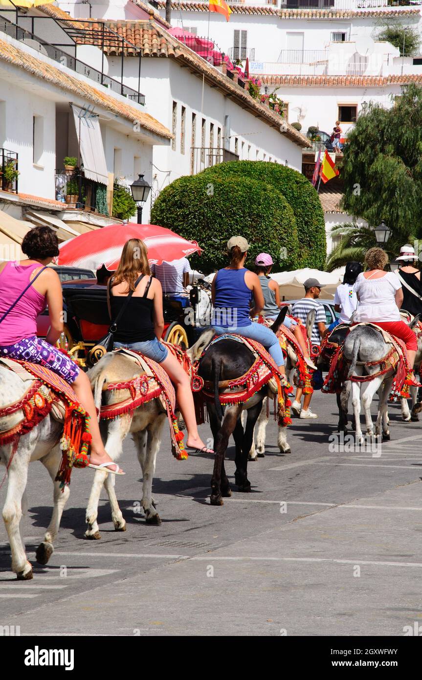 Donkey ride woman hi-res stock photography and images - Alamy