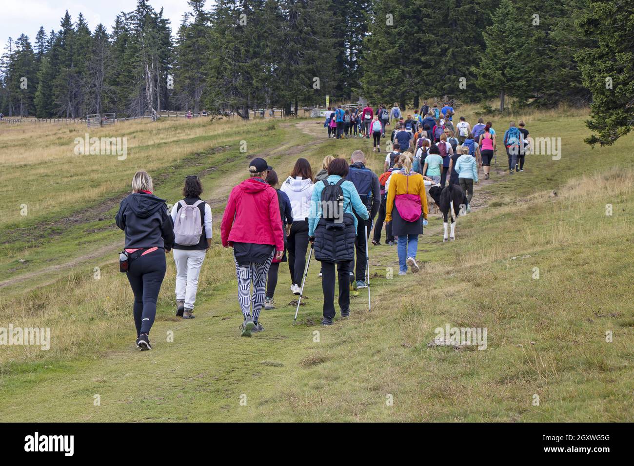 Group people hiking trekking hi-res stock photography and images - Alamy