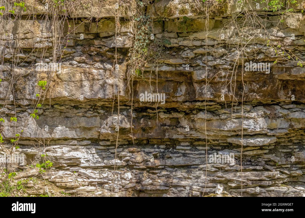 layered limestone rock formation seen in Southern Germany Stock Photo ...