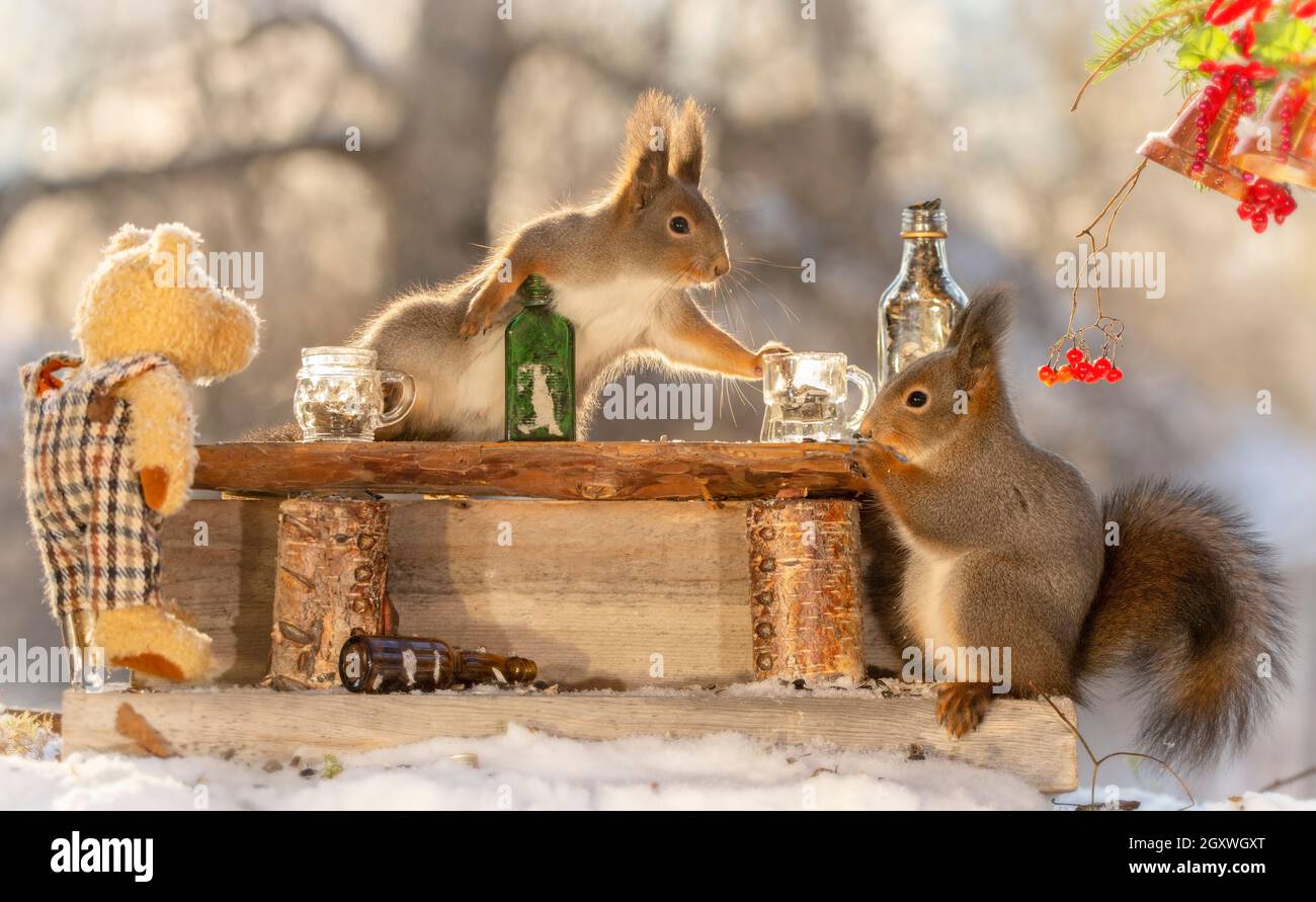 Drunk Squirrel Wine