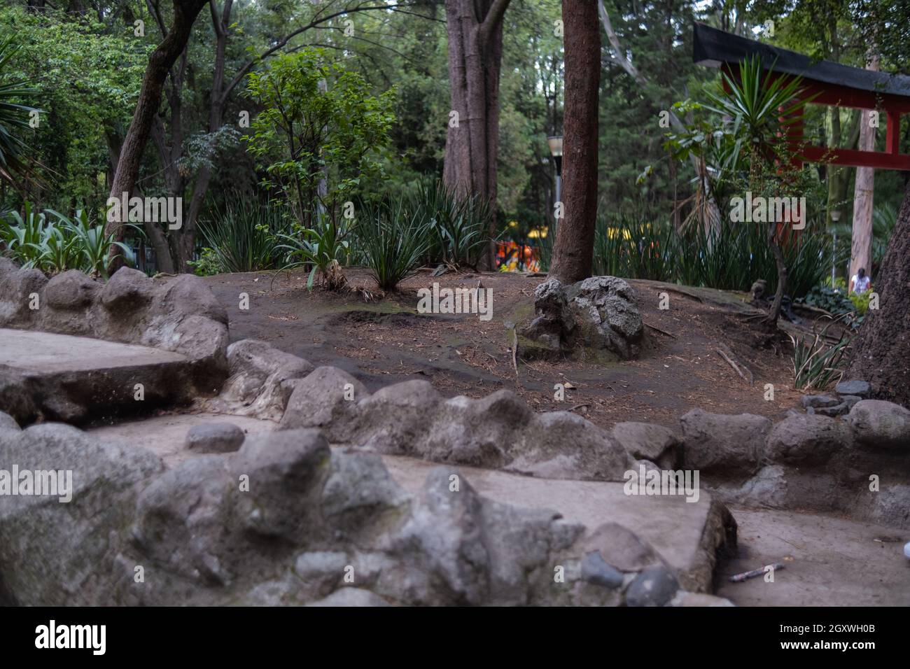 Dirt paths in park with traditional Japanese gate and trees as ...
