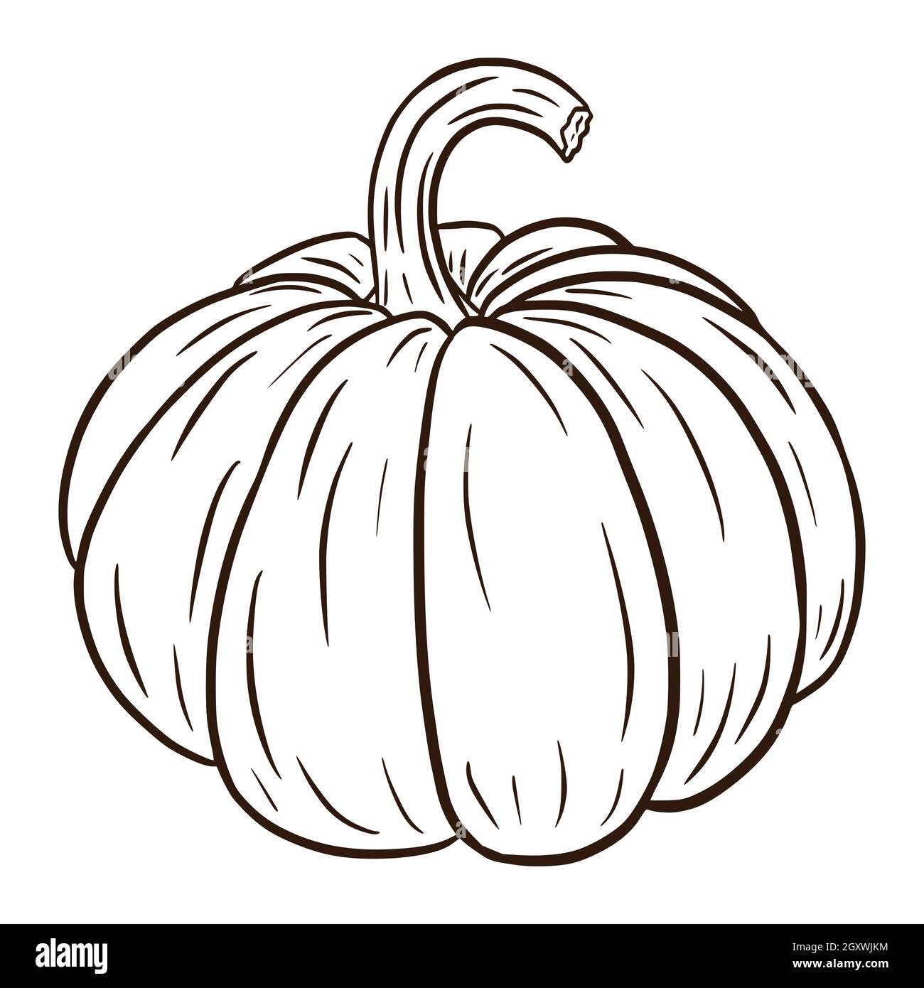 Squash Outline