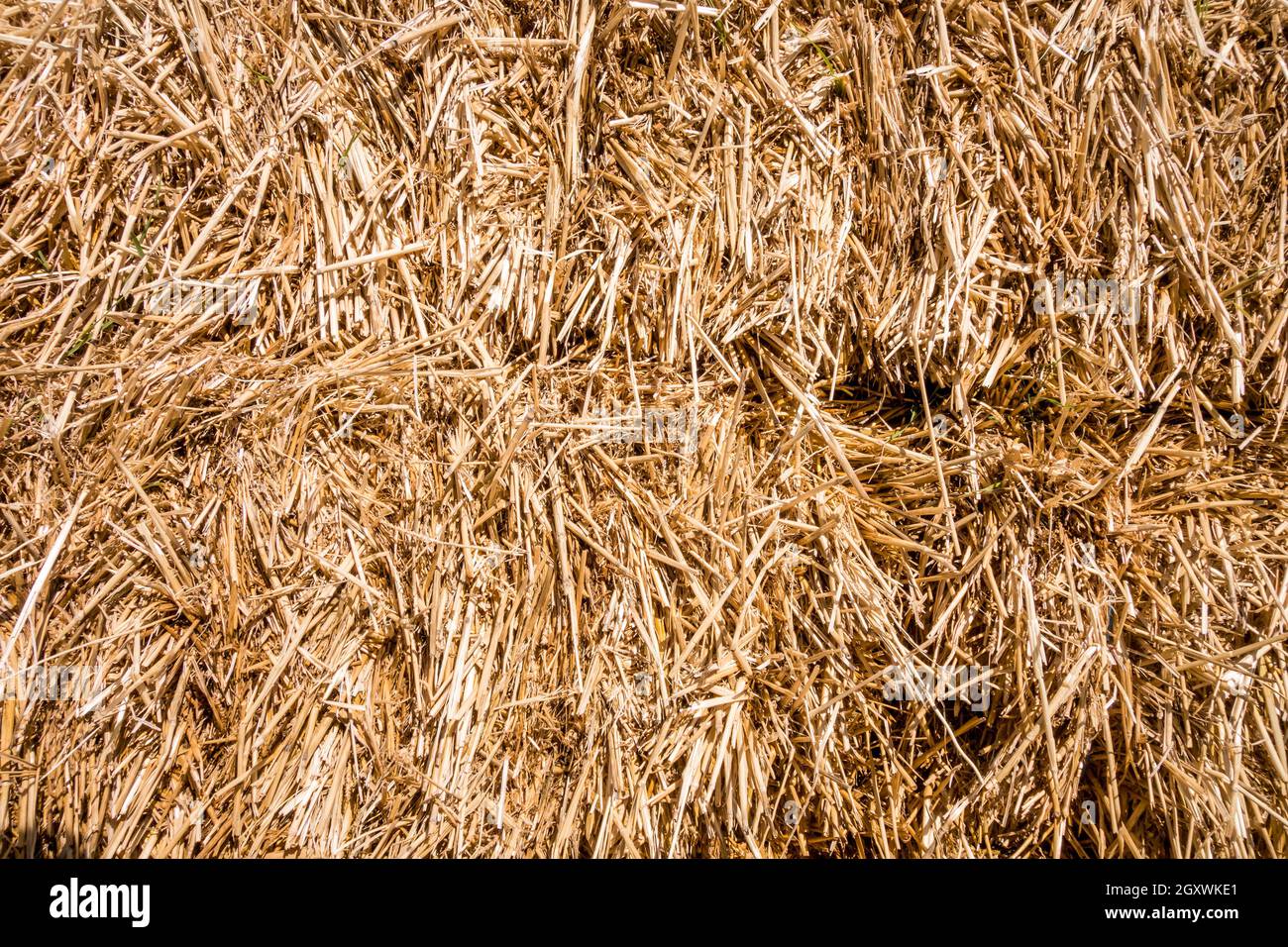 Bale of straw texture background. Abstract wallpaper Stock Photo - Alamy