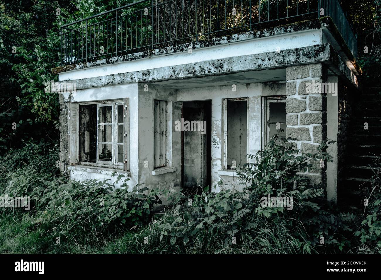 Old dirty abandoned house in a forest Stock Photo - Alamy