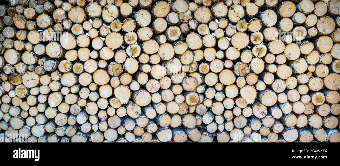 Stack of tree trunks. Texture background wallpaper Stock Photo - Alamy