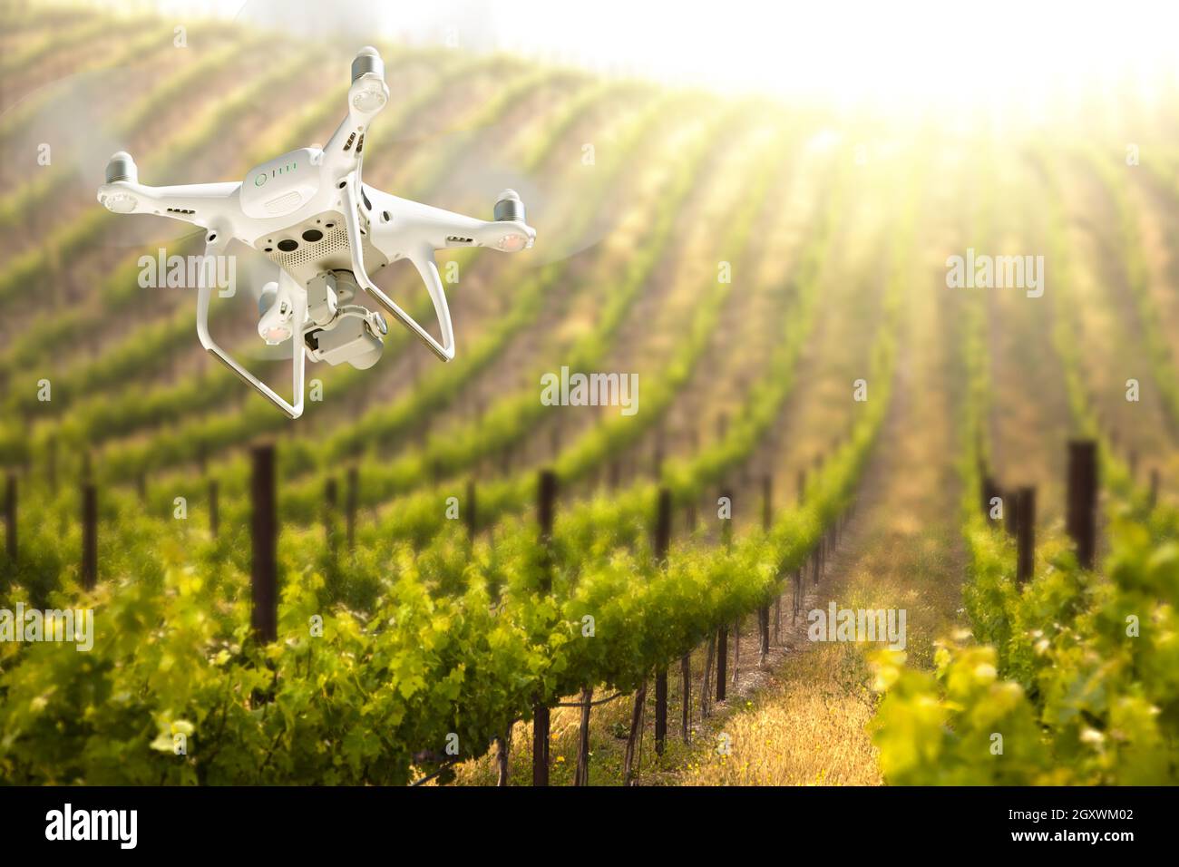 Unmanned Aircraft System (UAV) Quadcopter Drone In The Air Over Grape ...
